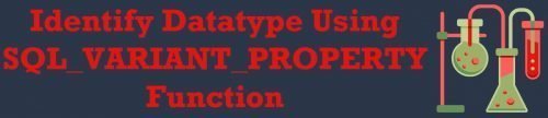 Sql Server Identify Datatype Using Sqlvariantproperty Function Sql Authority With Pinal Dave