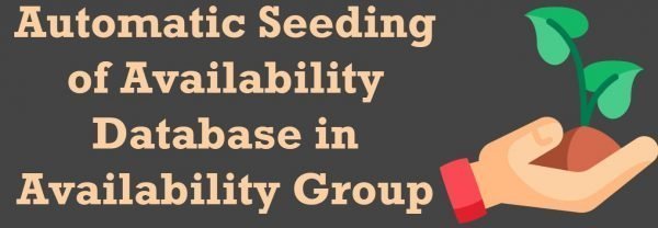 Sql Server Automatic Seeding Of Availability Database Sqlagdb In Availability Group Ag