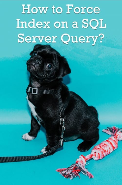 How To Force Index On A Sql Server Query Interview Question Of The