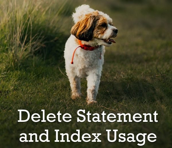 SQL SERVER Delete Statement And Index Usage SQL Authority With 